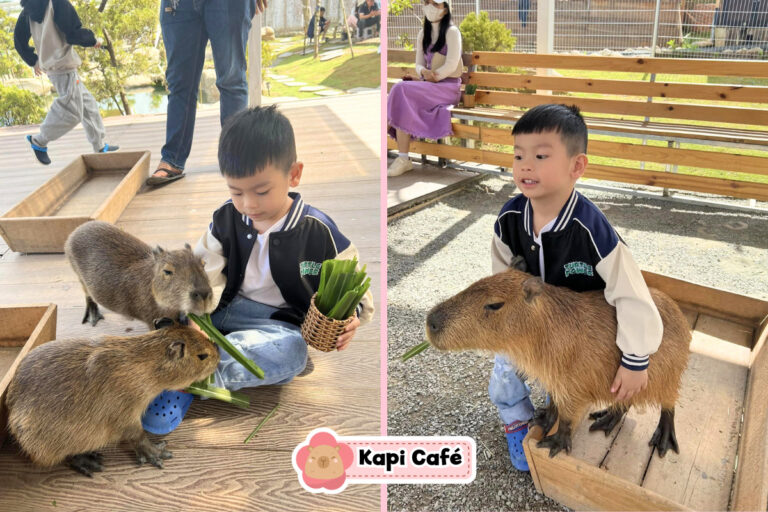 Review Cà phê có Capybara - Điểm đến check-in HOT 2024